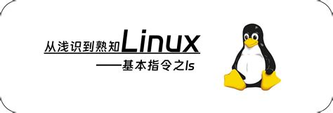 【从浅识到熟知linux】linux基本指令之lslinux Ls N Csdn博客 【从浅识到熟知linux】linux基本指令之lslinux Ls N Csdn博客