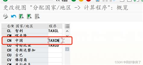 sap 报错消息号no ff703未在国家 地区cn中指定计算程序 公司代码未分配给国家或用于计算程序的国家 不能决定租税管辖代码 csdn博客