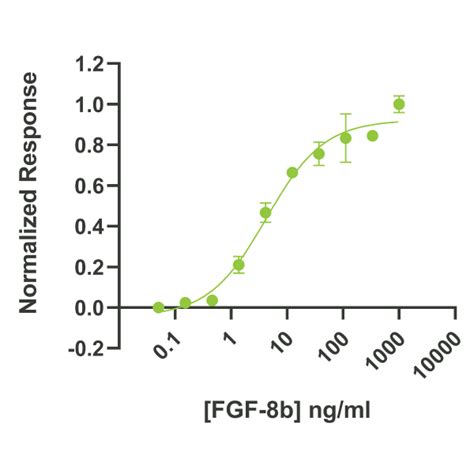 Recombinant Human Fgf 8b Animal Free Neural Stem Cells