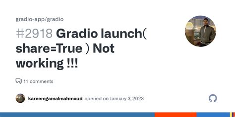 Gradio Launch Share True Not Working Issue Gradio App Gradio GitHub