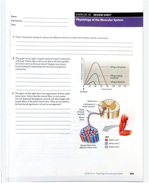 Solved Name Lab Section Date Exercise 13 Review Sheet