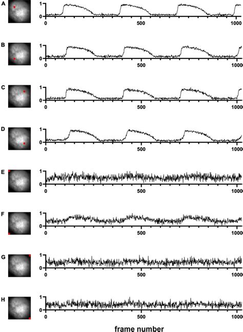 Automated Object Detection In Experimental Data Using Combination Of