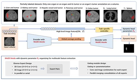3d Multi Organ And Tumor Segmentation Based On Re Parameterize Diverse