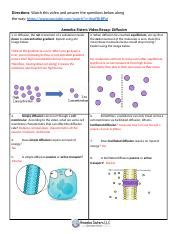 Diffusion Video By Amoeba Babes Questions Docx Directions Watch This Video And Answer The