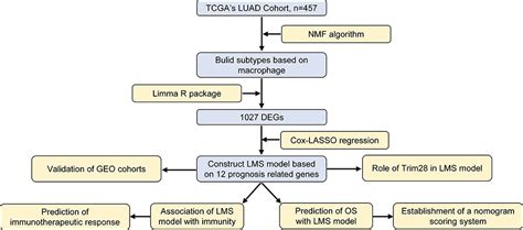 Macrophage Related Degs With A Nmf Algorithm Jir