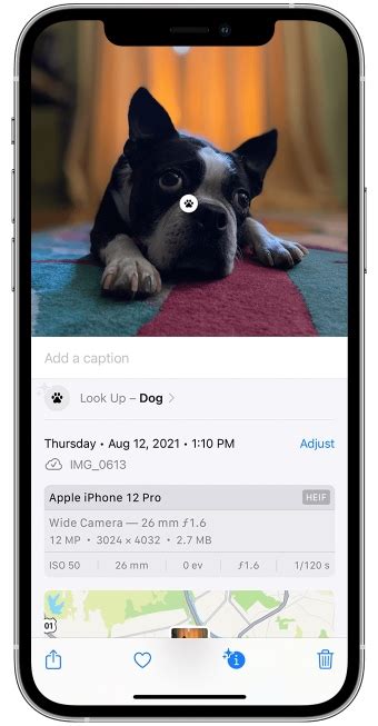 New IPhone Feature Live Text In IOS 15 Has People Thunderstruck BGR