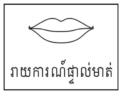 ត គ្រូបង្រៀនថ្នាក់ទី១