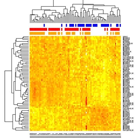 Heat Maps Of Gene Expression Data With Rows Representing Genes And