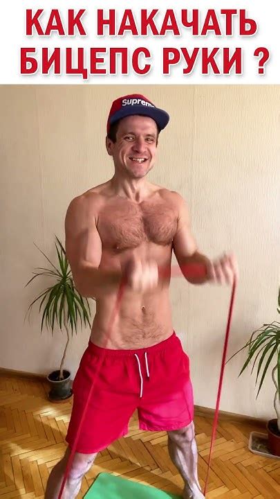 👉 Как накачать бицепс руки 👍 Простое упражнение подъем на бицепс знаюиделаю фитнес зож Youtube