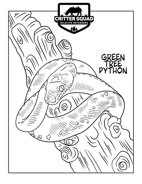 Green Tree Python Coloring Page C S W D