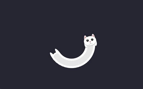 how to create cat loading animation using html and css coding stella