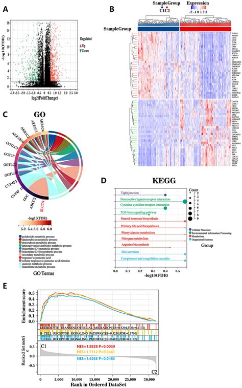 Differential Gene Expression And Potential Signaling Pathways In