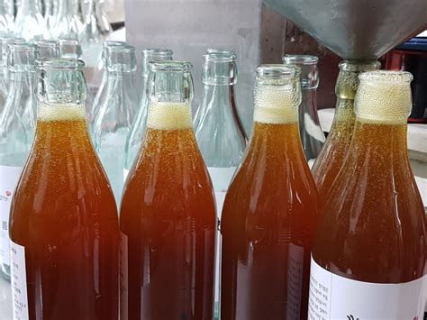 산지농부들 Band