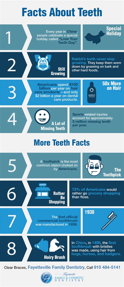 Facts About Teeth Shared Info Graphics