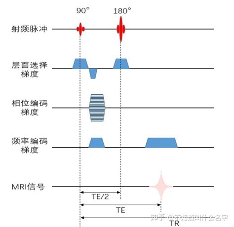 磁共振成像中化学位移错位为什么只存在频率编码方向（除epi外）？ 知乎