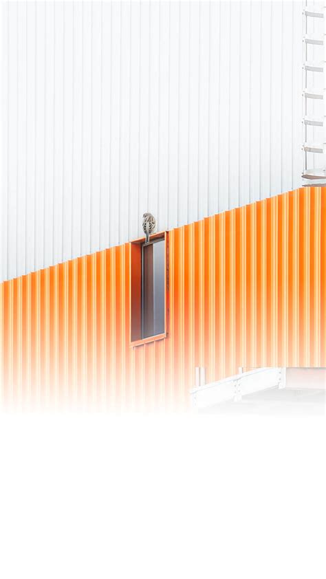 Vivo Y Trendy Design With Large Battery Vivo Global