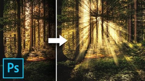 How To Capture Light Rays In Photography At Lucas Angas Blog