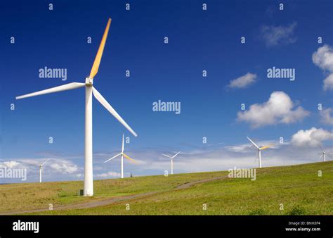 Wind Powered Electric Generators On The North Coast Of The Big Island Hawaii Near Waimea Show