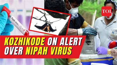 Kerala Kozhikode On Alert Over Two Suspected Nipah Virus Deaths City