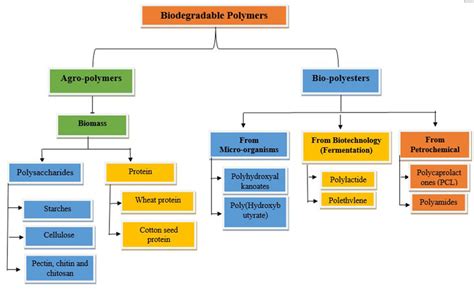 1 Classification Of Biodegradable Polymers Kumar And Thakur 2017