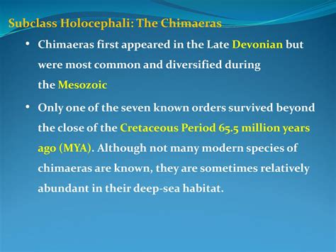 The Non Bony Fishes Ppt Download