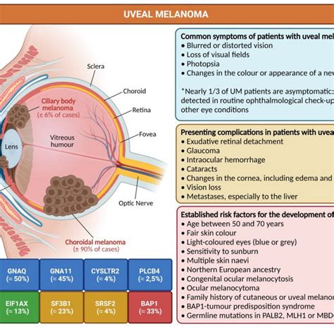 New Molecular Prognostic Classification For Uveal Melanoma Based On The
