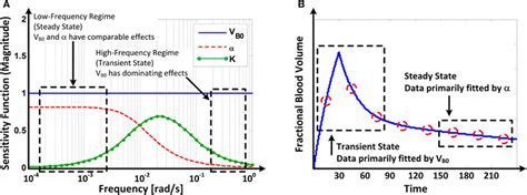 A Frequency Responses Of The Models Sensitivity Functions Equation