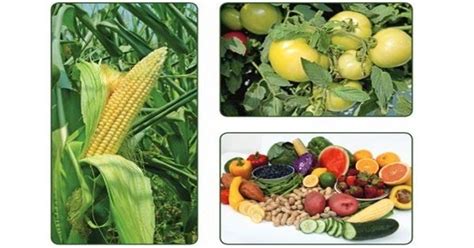 Nutrient Management Assignment Point