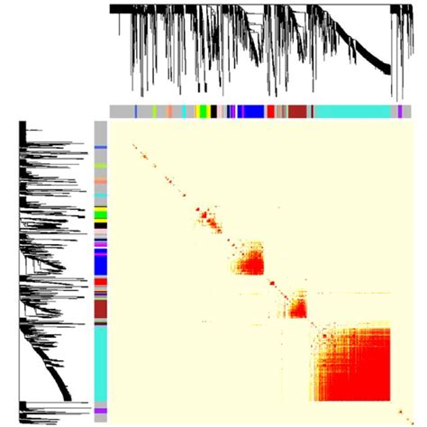 Visualizing The Gene Network For Rnaseq Dataset Using A Heatmap Plot Download Scientific