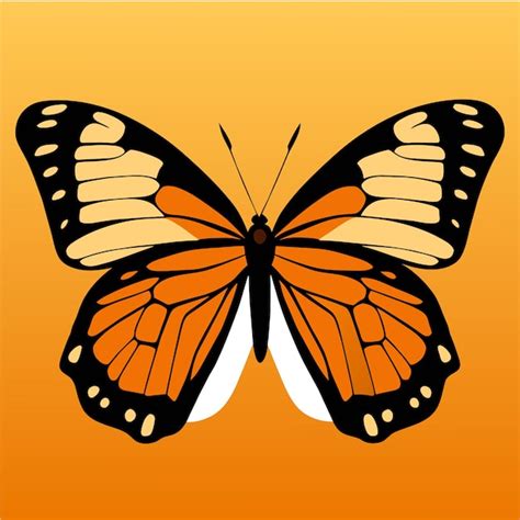 Premium Vector Butterfly Patterns Expressing Creativity Through Vectors