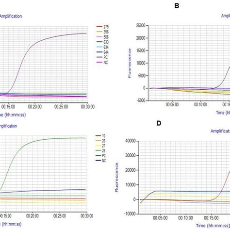 Amplification Plots Of Rt Lamp Reaction Of Assessing Specificity Only
