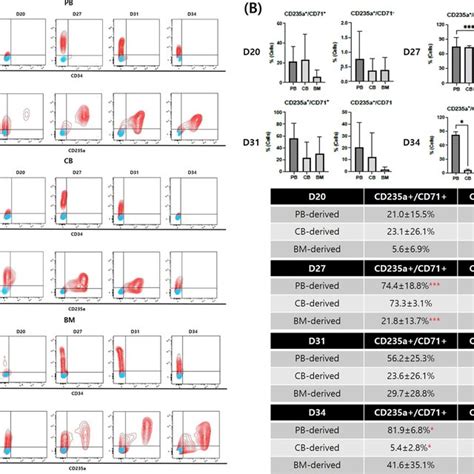 Diagrammatic Representation Of The Hematopoietic And Erythroid Download Scientific Diagram