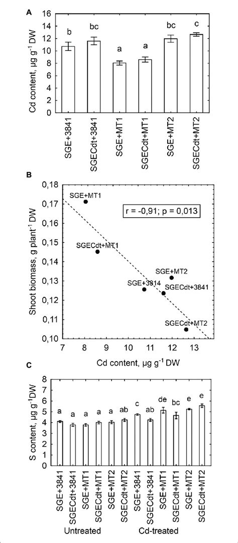 Shoot Cd Content In The Cadmium Treated Pea Pisum Sativum Plants Download Scientific