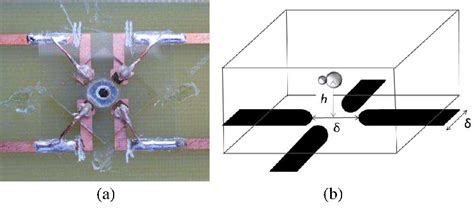 Figure 1 From Dielectric Characterization Of The Yeast Cell Budding