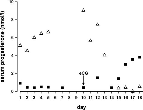 Serum Progesterone Levels In Two Ewes Measured 8 Weeks After Download Scientific Diagram