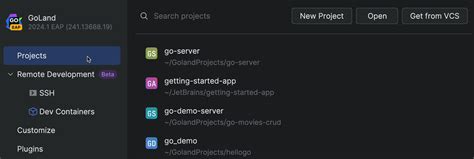 Goland 20241 Is Out The Goland Blog