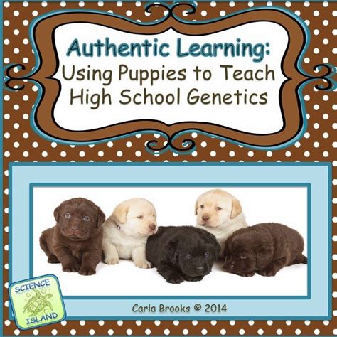 Nitty Gritty Science