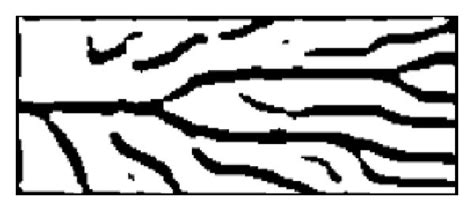 A Artificial Infrared Finger Image B Extracted Vein Pattern Using Download Scientific