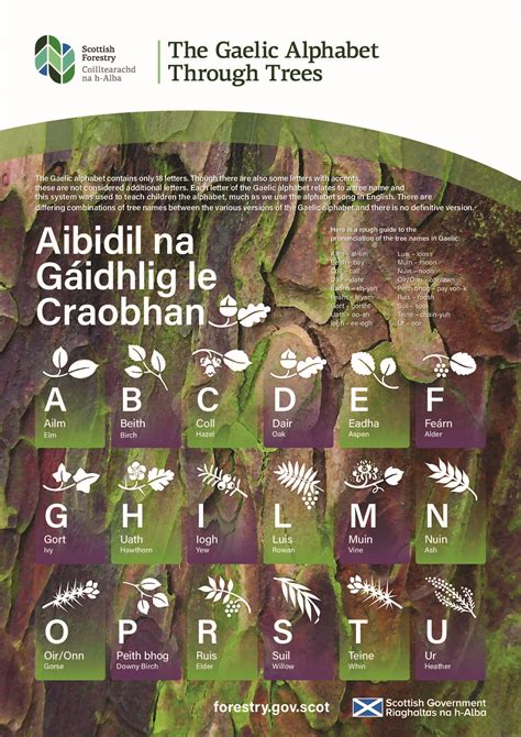 How Many Letters In Scottish Gaelic Alphabet