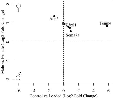 Frontiers Osteocytes Contribute To Sex Specific Differences In