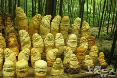 무더위 식혀줄 대나무 숲 푸른 바다 중국 주난주하이