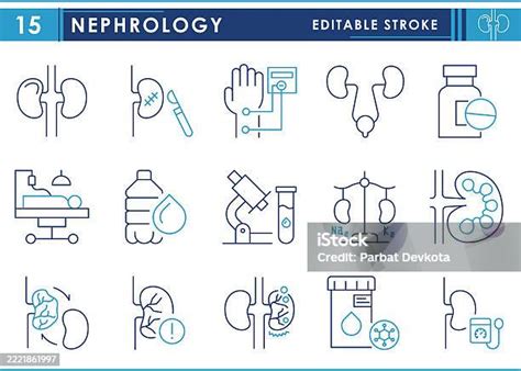 Nephrology와 관련된 선 아이콘 집합입니다 신장 투석 신장 결석 이식 단백뇨 검사 소변 검사 감염 수분 공급 등 벡터 편집 가능한 획 신장학에 대한 스톡 벡터 아트
