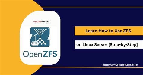 How To Use Zfs On Linux For Reliable Storage Step By Step Guide