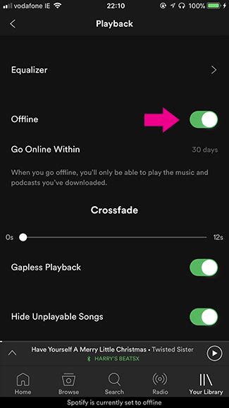 How To Download Music On Spotify With Data Perey