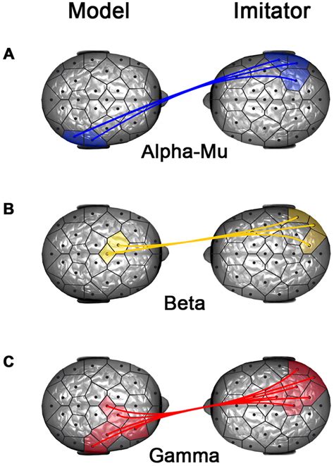 Intersubject Neural Synchronizations During Interactional Synchrony Download Scientific