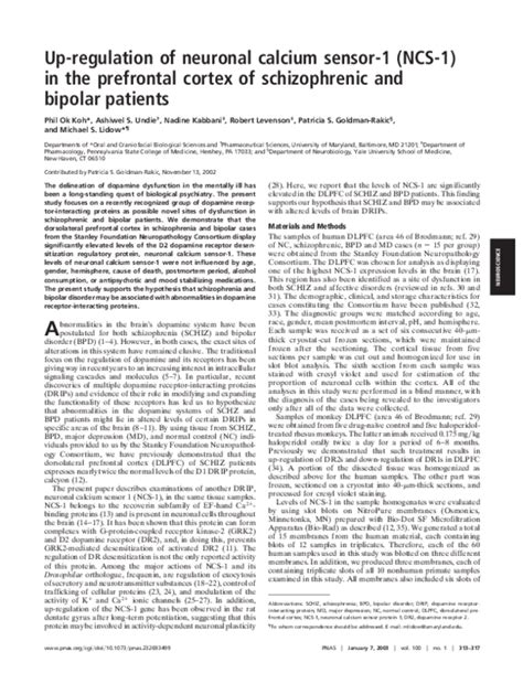Pdf Up Regulation Of Neuronal Calcium Sensor 1 Ncs 1 In The