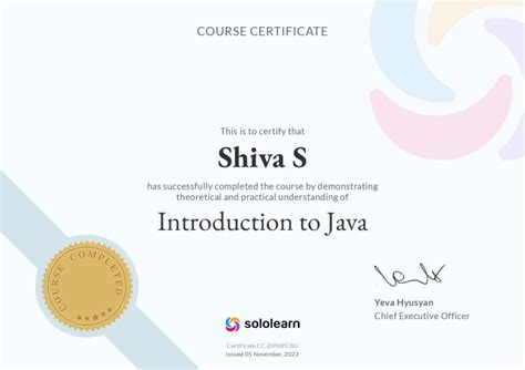 Shiva S On Linkedin Sololearn Java Coding Codingchallenge