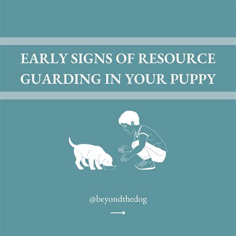 Lindsey Ebner Posted On Linkedin