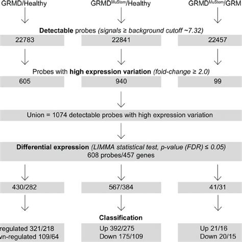 Flow Chart Of The Statistical Filtration Of Microarray Data Procedure