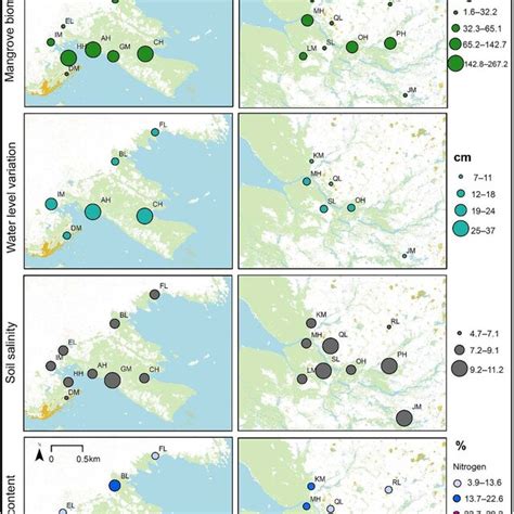 Distribution Of The Mangrove Aboveground Biomass Mean Daily Water Download Scientific Diagram